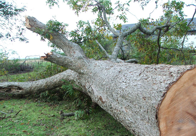 Significado y Definición de Abatir | Diccionario de Arquitectura